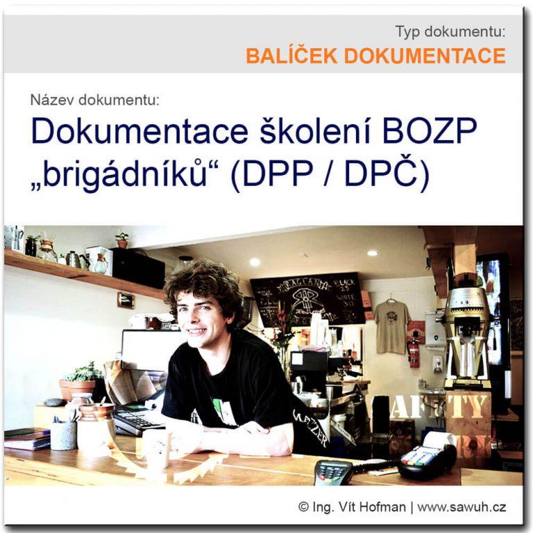 Vzory dokumentace BOZP ke stažení - přehledný seznam | SAW